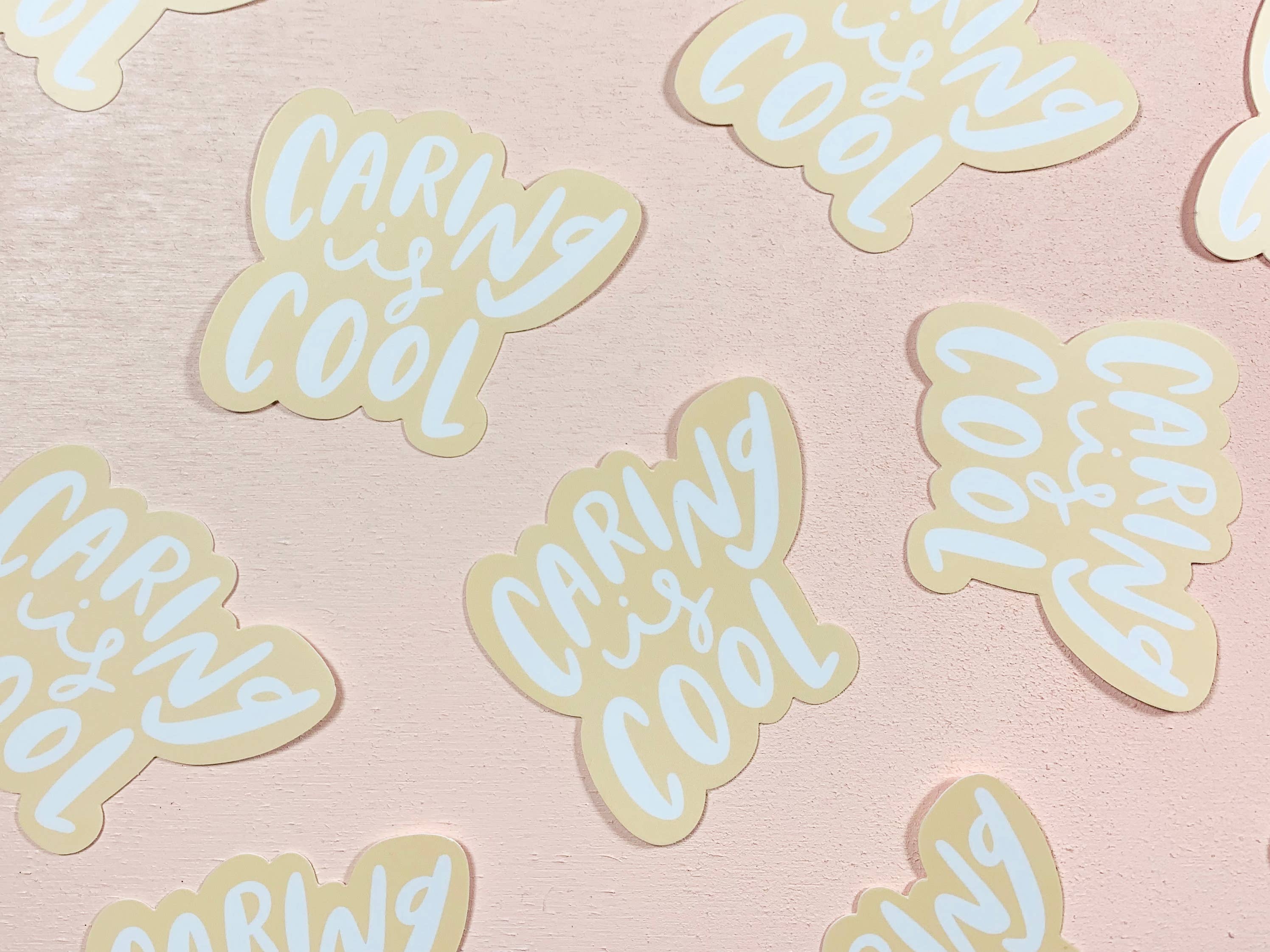 LAST CHANCE - Caring is Cool Vinyl Sticker – And Here We Are